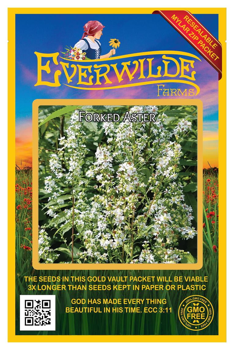 Everwilde Farms - 300 Forked Aster Native Wildflower Seeds - Gold Vault ...
