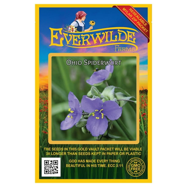 Everwilde Farms - 300 Ohio Spiderwort Native Wildflower Seeds - Gold ...
