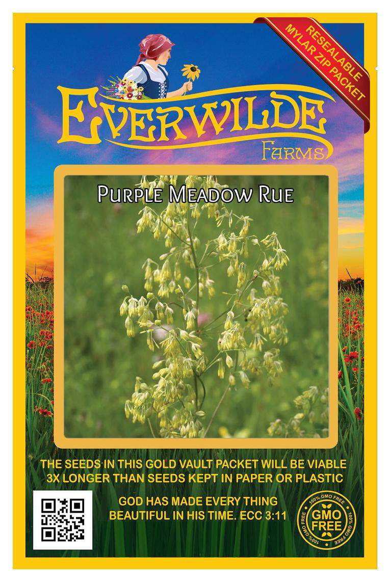 Everwilde Farms - 300 Purple Meadow Rue Native Wildflower Seeds - Gold ...