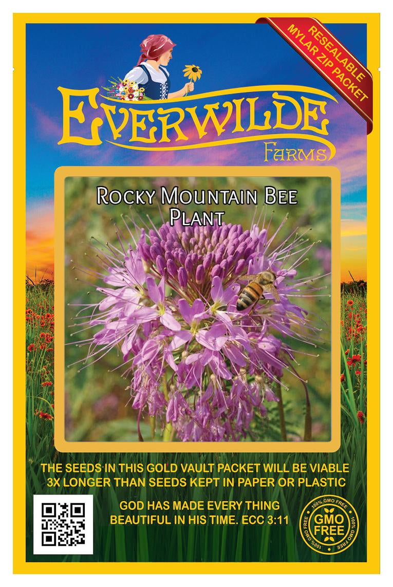 Everwilde Farms - 300 Rocky Mountain Bee Plant Native Wildflower Seeds ...