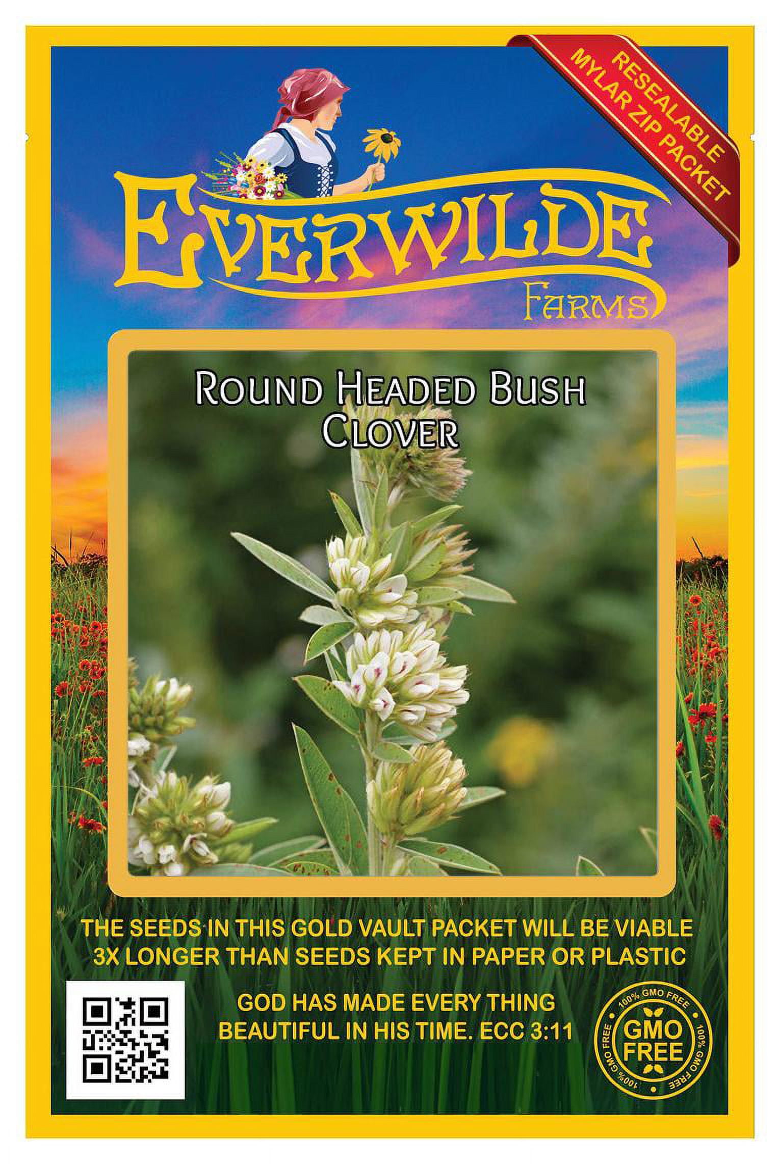 Everwilde Farms - 300 Round Headed Bush Clover Native Wildflower Seeds ...
