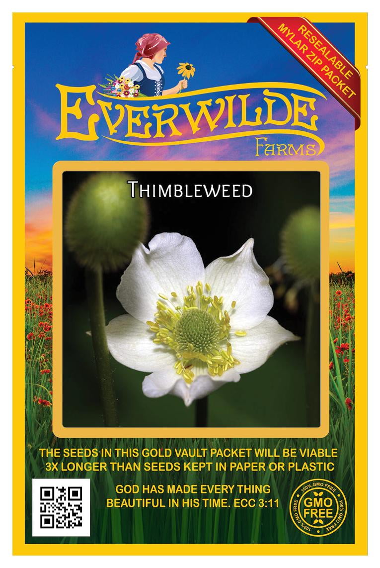 Everwilde Farms - 300 Thimbleweed Native Wildflower Seeds - Gold Vault ...