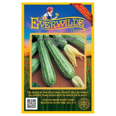Burpee Organic Sweet Basil Herb Seed, 1-Pack - Walmart.com