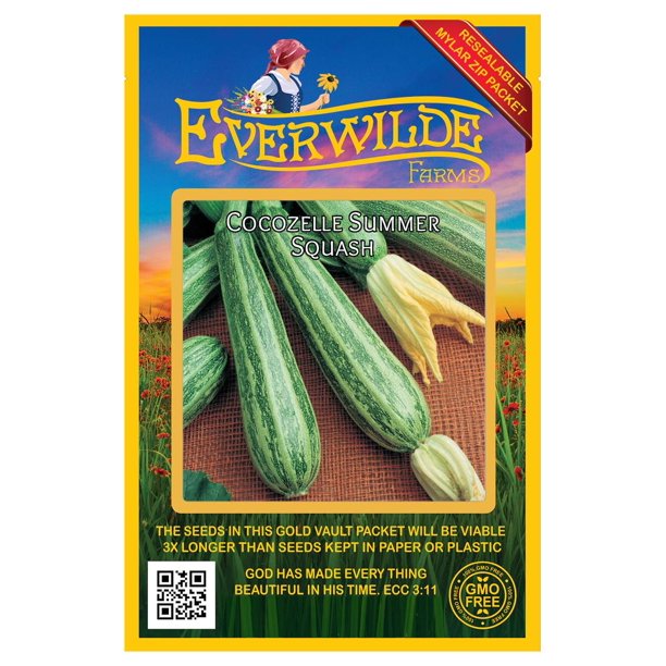 Everwilde Farms - 40 Cocozelle Summer Squash Seeds - Gold Vault Jumbo ...
