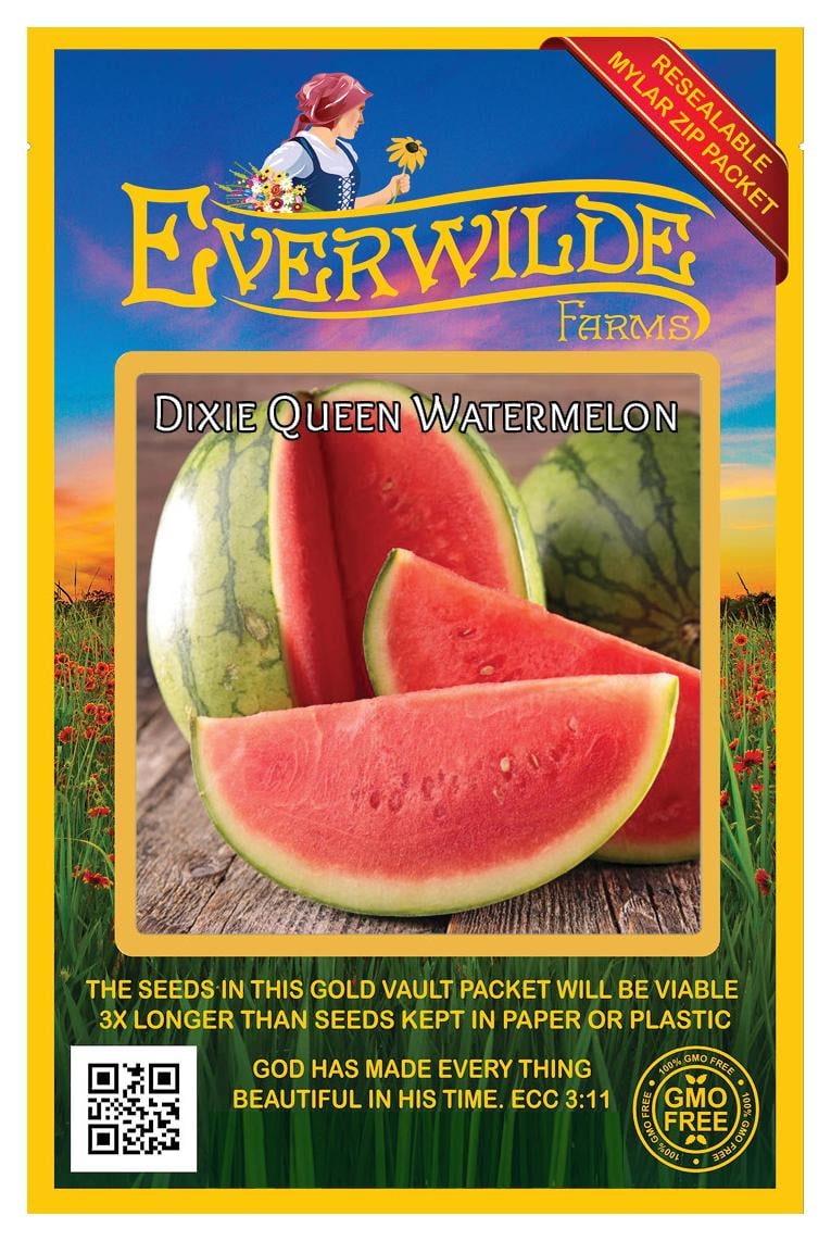 Everwilde Farms - 40 Dixie Queen Watermelon Seeds - Gold Vault Seed ...
