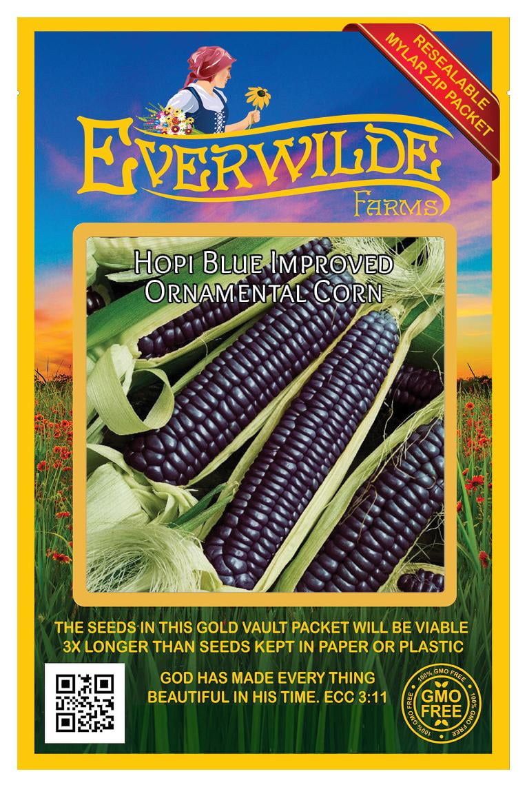 Everwilde Farms - 40 Hopi Blue Improved Ornamental Corn Seeds - Gold ...