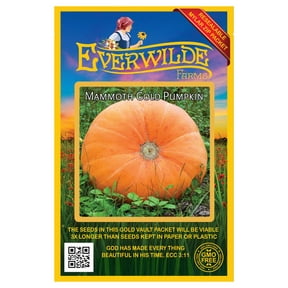Everwilde Farms - 1 oz Organic Vegetable Spaghetti Winter Squash Seeds ...