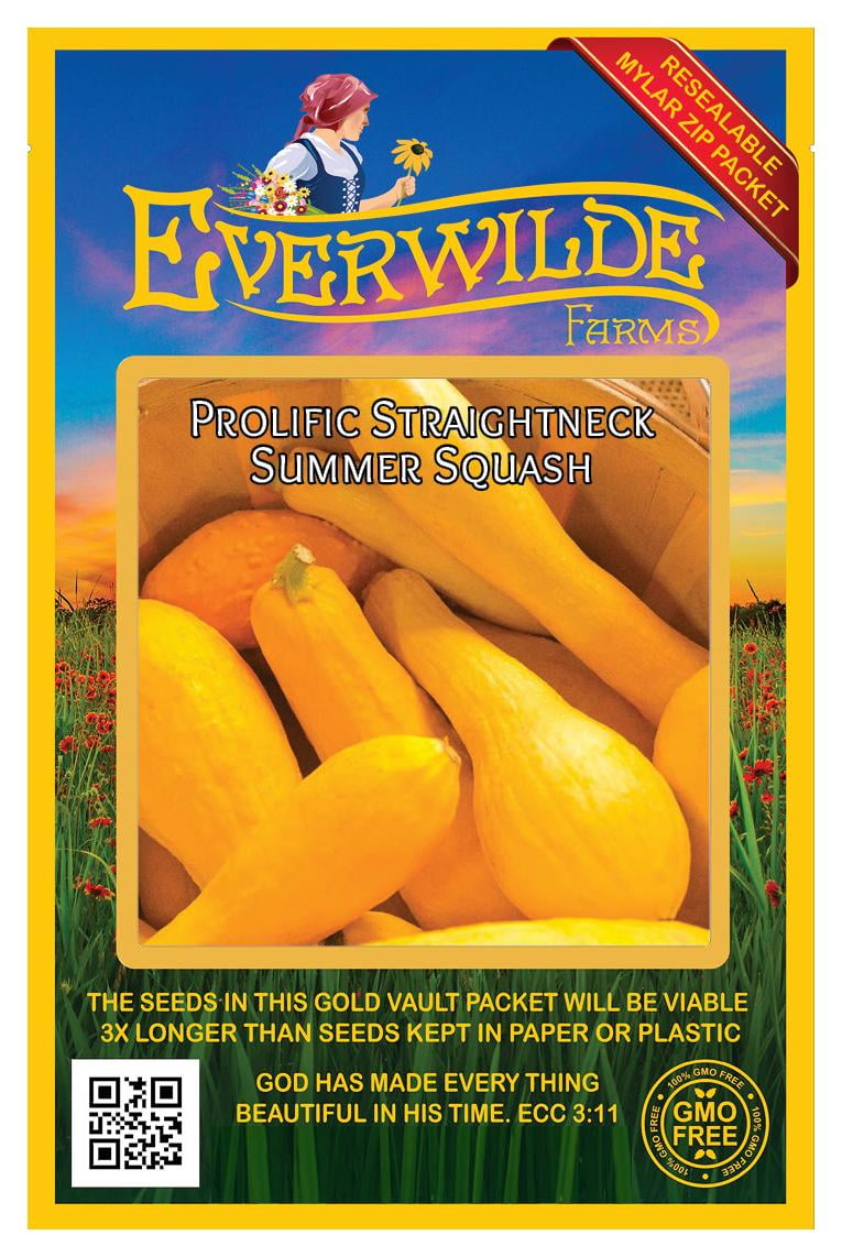 Everwilde Farms - 40 Prolific Straightneck Summer Squash Seeds - Gold ...