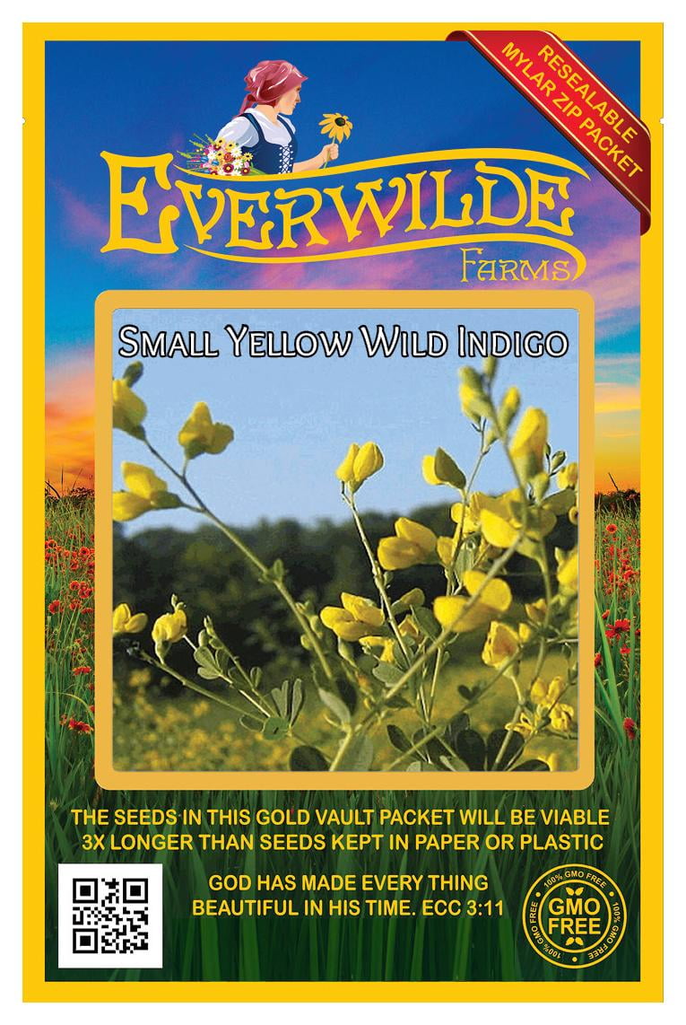 Everwilde Farms - 40 Yellow Wild Indigo Native Wildflower Seeds - Gold ...