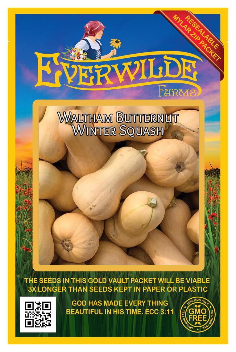 Everwilde Farms - 40 Waltham Butternut Winter Squash Seeds - Gold Vault ...