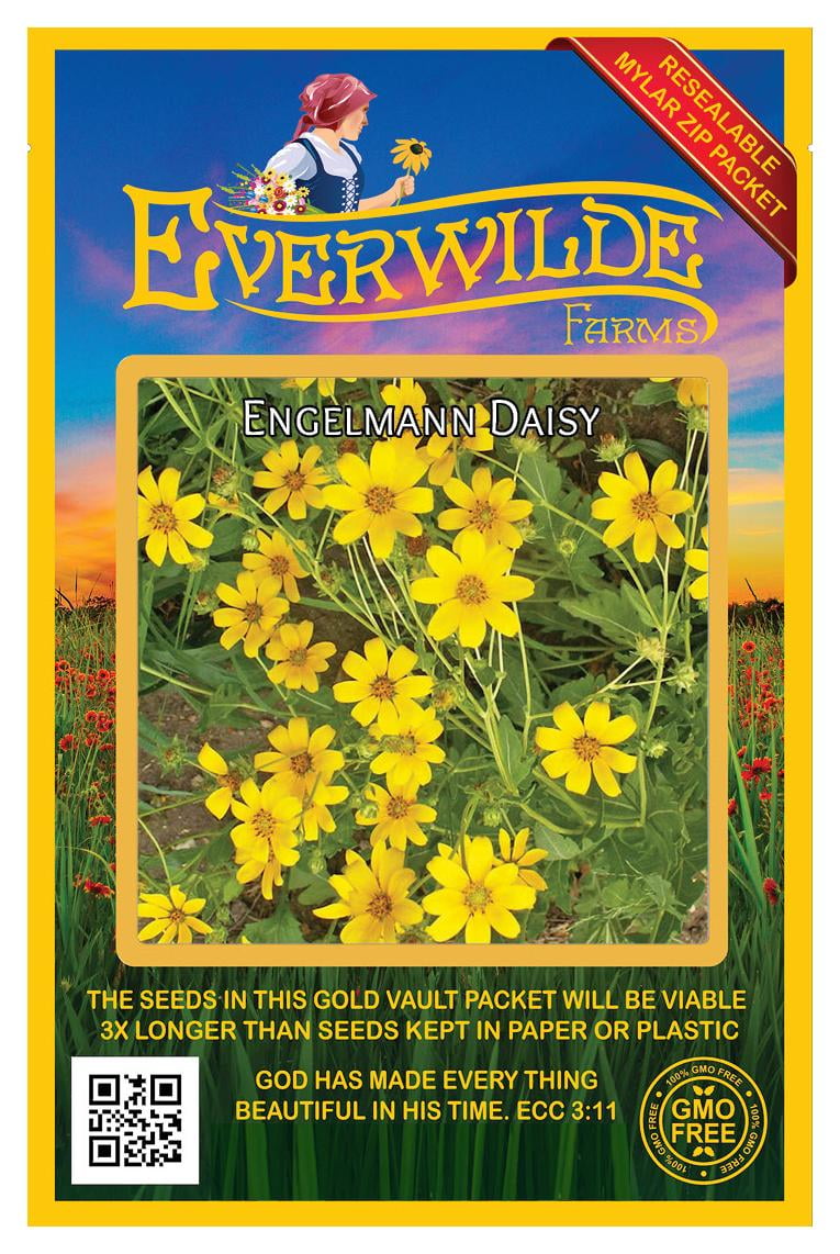 Everwilde Farms - 400 Engelmann Daisy Native Wildflower Seeds - Gold ...