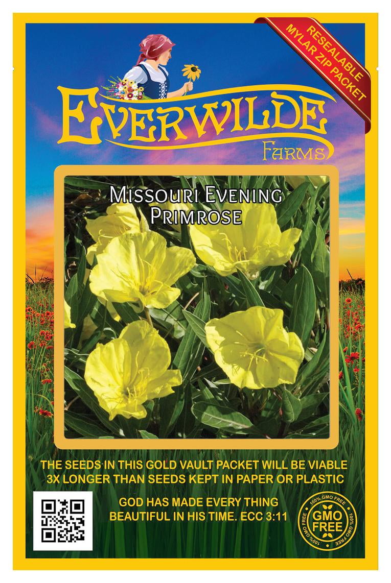 Everwilde Farms 400 Missouri Evening Primrose Flower Seeds, Native ...