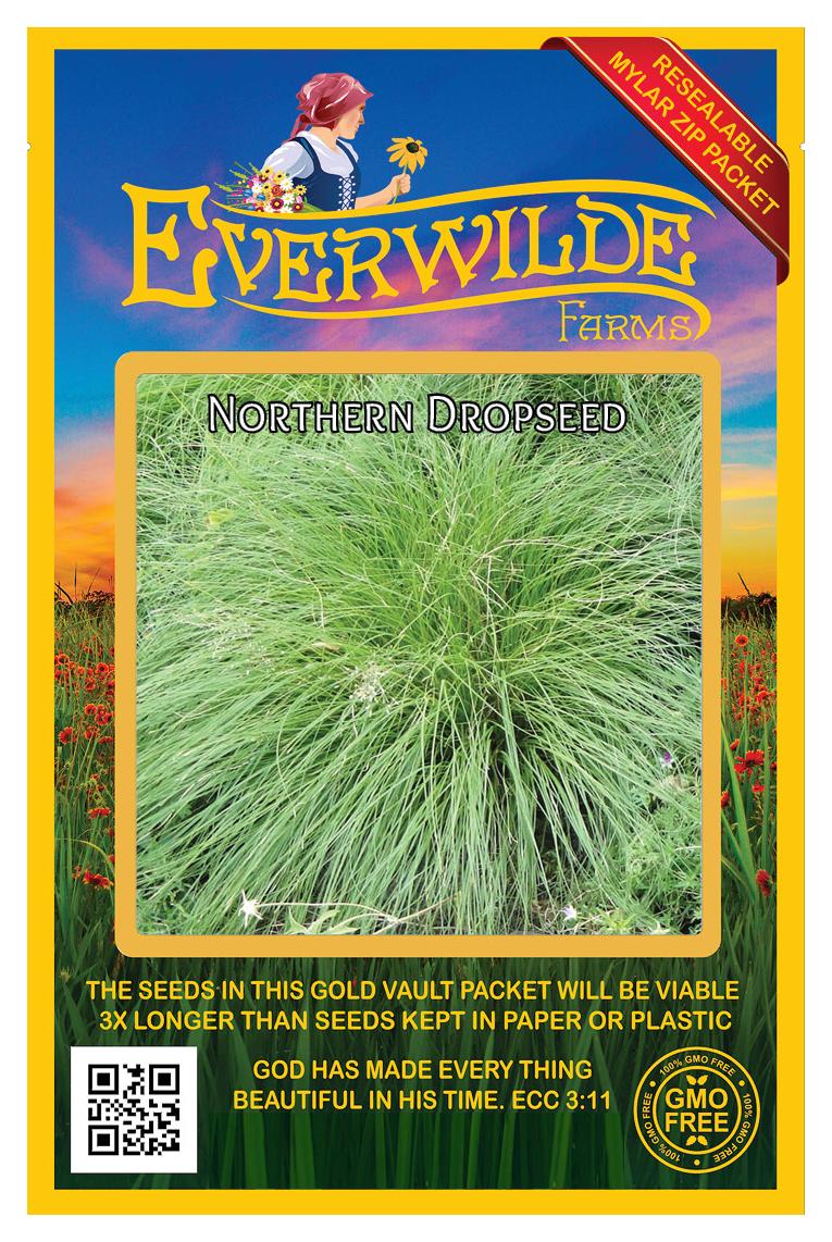 Everwilde Farms - 400 Northern Dropseed Native Grass Seeds - Gold Vault ...