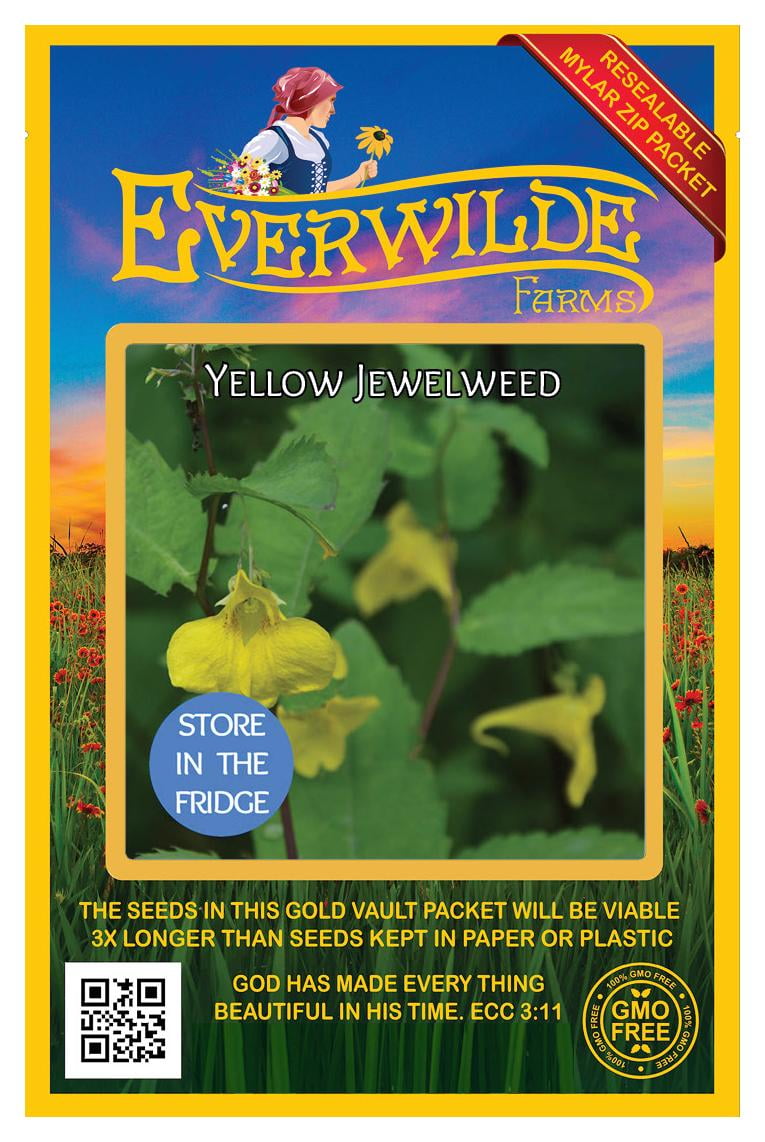 Everwilde Farms - 5 Yellow Jewelweed Native Wildflower Seeds - Gold ...