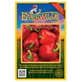 Everwilde Farms - 50 Big Red Sweet Pepper Seeds - Gold Vault Seed ...
