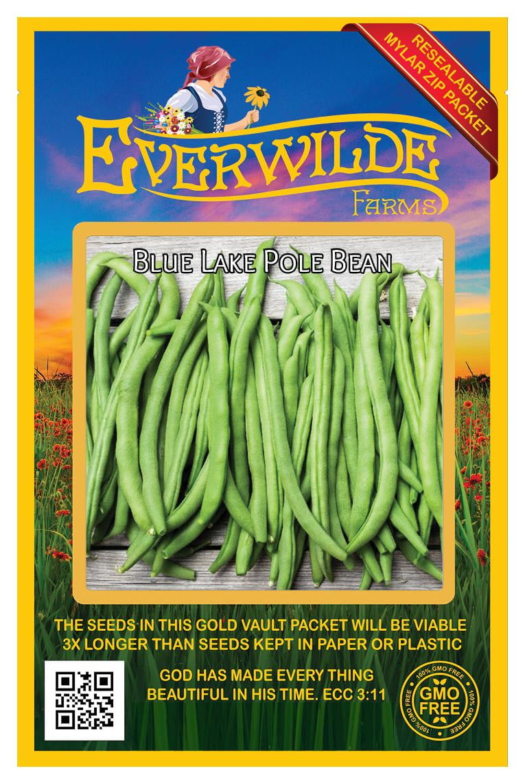 Everwilde Farms - 50 Blue Lake Pole Bean Seeds, Gold Vault Jumbo Pack ...
