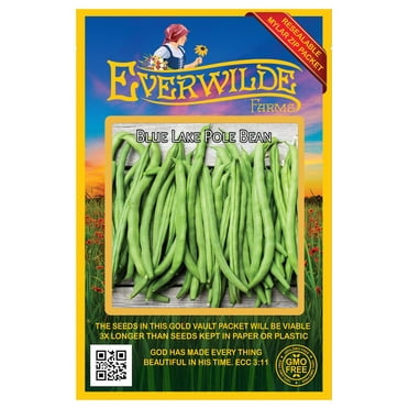 Blue Lake Bush Bean 274 Seeds - 18 Gram Packet - Non-GMO, Heirloom ...