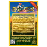 Honey Select Hybrid Triplesweet Corn Garden Seeds - 1 Lb - Non-GMO ...