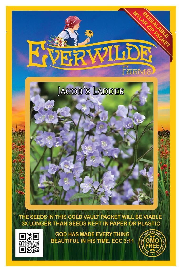 Everwilde Farms - 50 Jacob's Ladder Native Wildflower Seeds - Gold ...