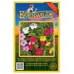 Petunia - Frost Series Flower Garden Seed - 1000 Pelleted Seeds ...