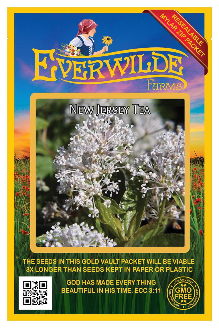 Everwilde Farms 50 New Jersey Tea Flower Seeds, Resealable Mylar ...