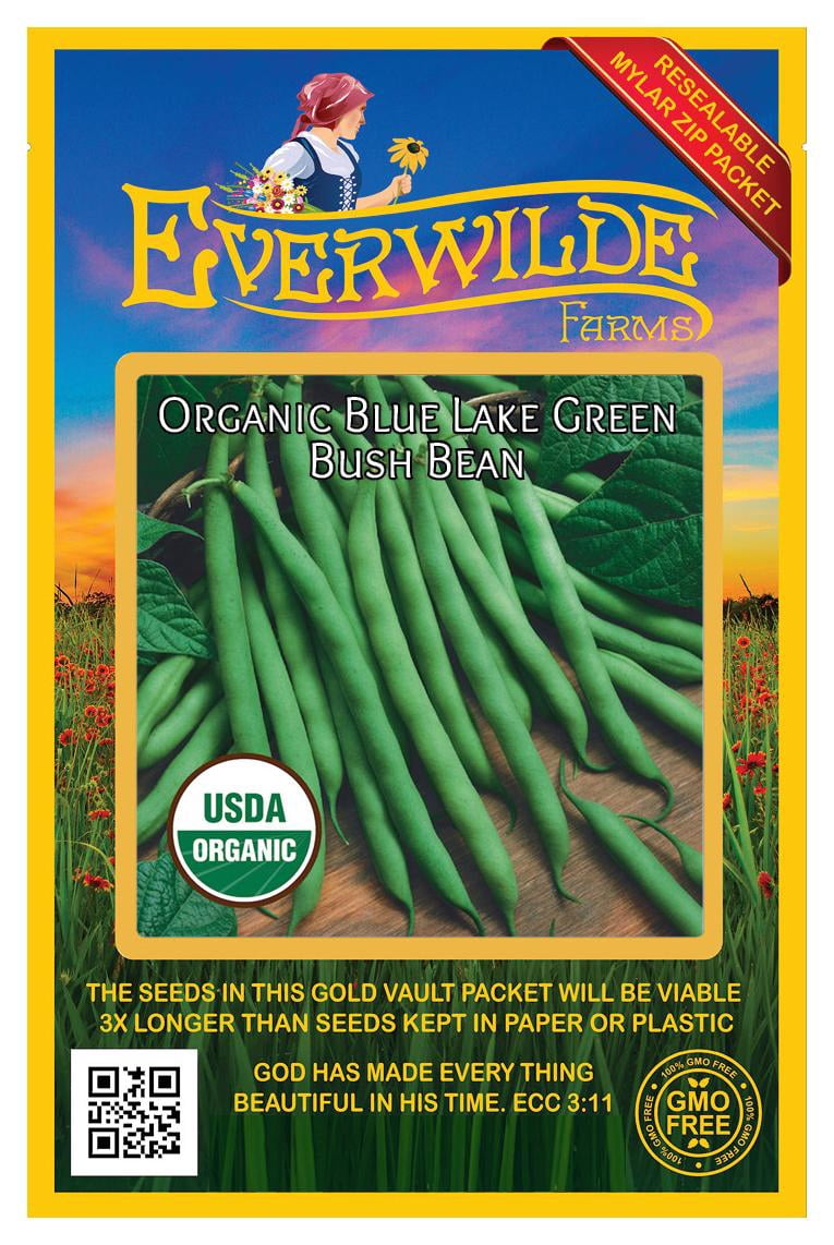 Everwilde Farms - 50 Organic Blue Lake Green Bush Bean Seeds - Gold ...