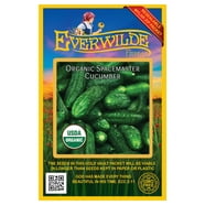 Wisconsin SMR Pickling Cucumber Seeds - 1 Oz - Non-GMO, Heirloom ...