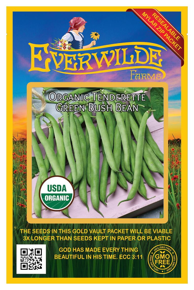 Everwilde Farms - 50 Organic Tenderette Green Bush Bean Seeds - Gold ...