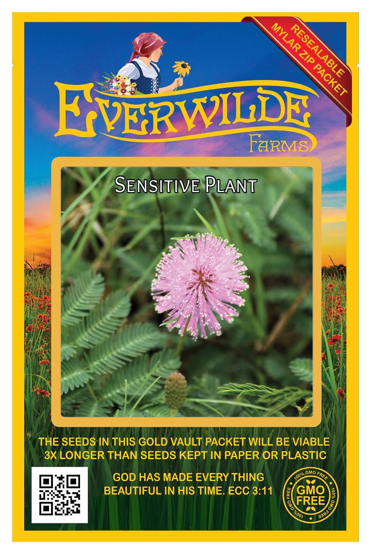 Everwilde Farms - 50 Sensitive Native Wildflower Seeds, Fun Science ...