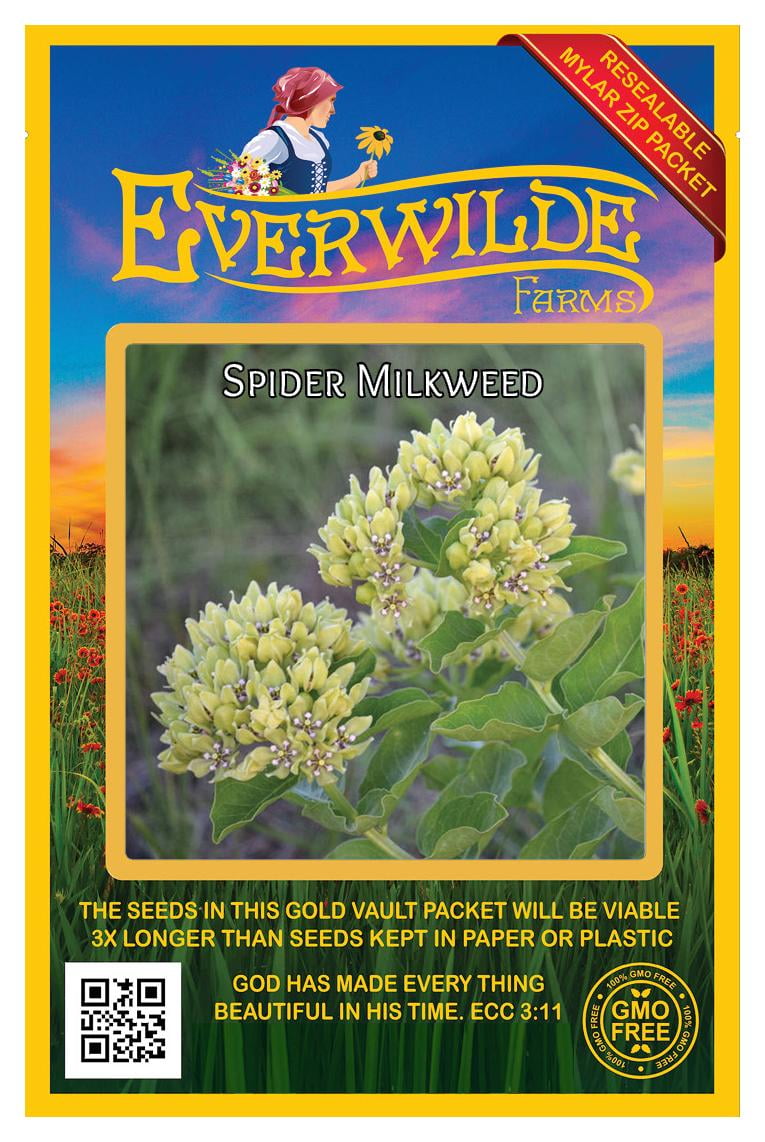 Everwilde Farms Spider Milkweed Seeds, Native Wildflower, Self-Seeding ...