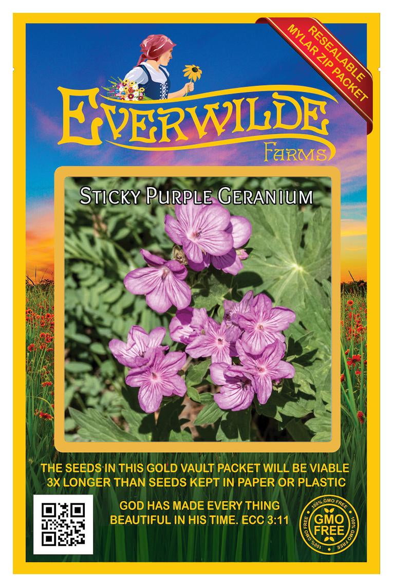 Everwilde Farms - 50 Sticky Purple Geranium Native Wildflower Seeds ...