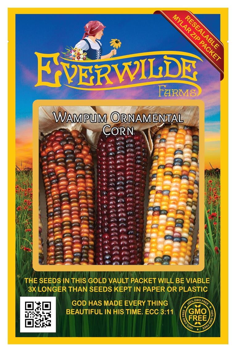 Everwilde Farms - 50 Wampum Ornamental Corn Seeds - Gold Vault Jumbo ...