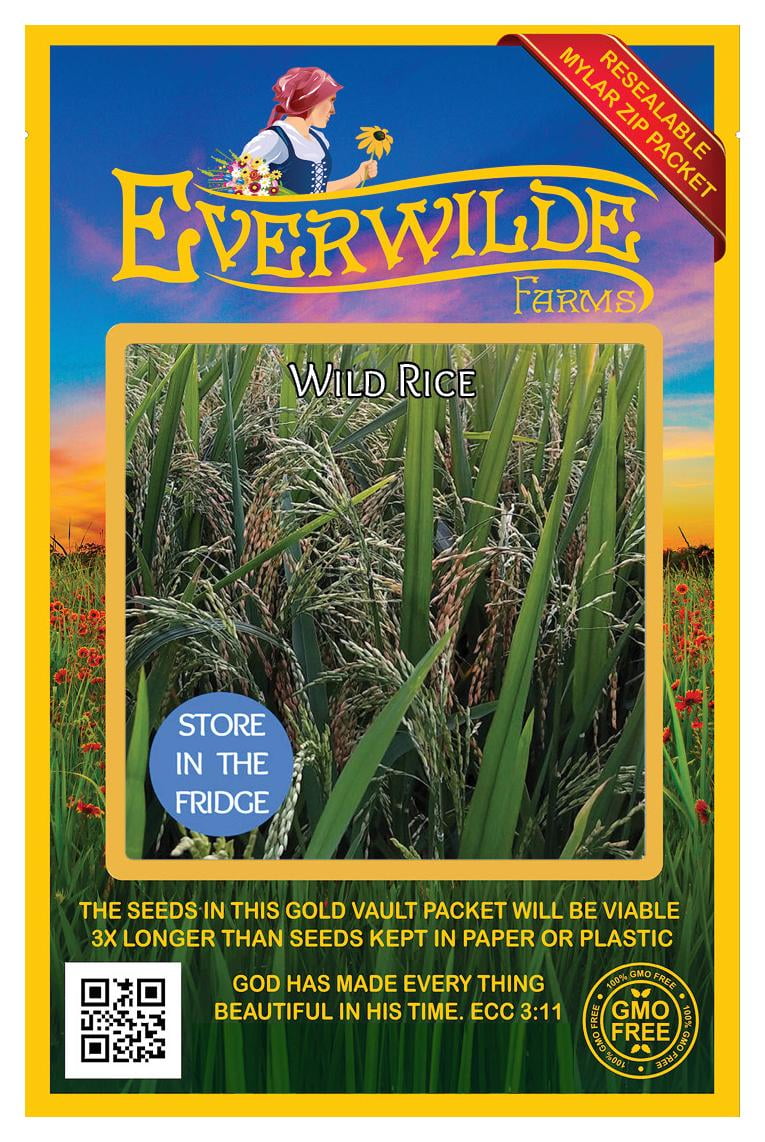 Everwilde Farms, Wild Rice Native Grass Seeds, Aquatic Wetland Plant ...