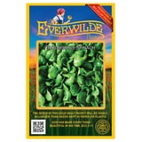 Everwilde Farms - 500 Bloomsdale Spinach Seeds - Gold Vault Jumbo Bulk ...