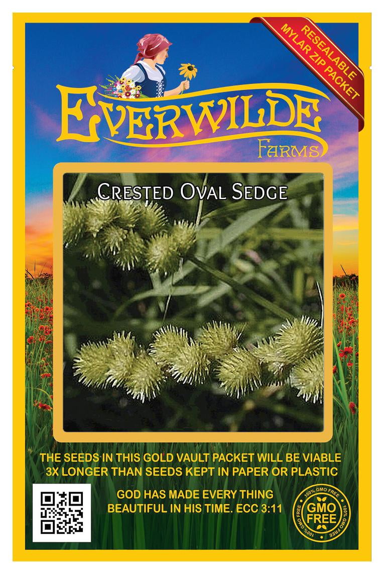Everwilde Farms - 500 Crested Oval Sedge Native Grass Seeds - Gold ...