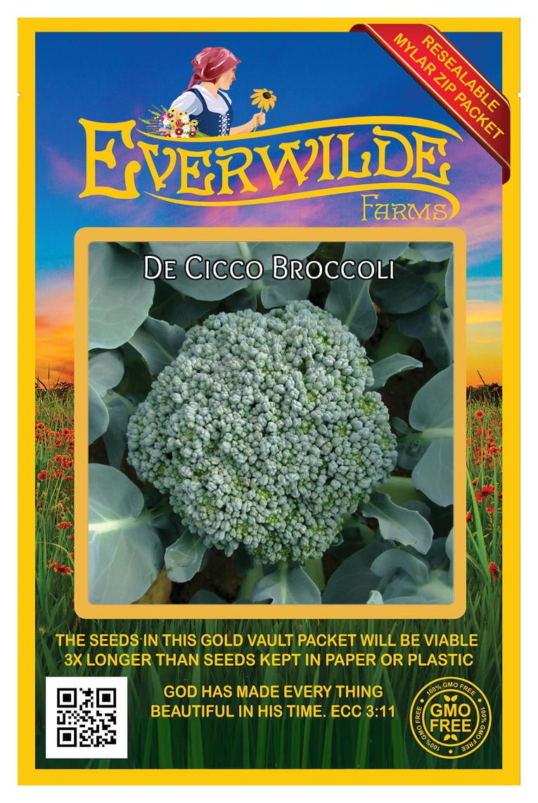 Everwilde Farms - 500 De Cicco Broccoli Seeds - Gold Vault Jumbo Bulk ...