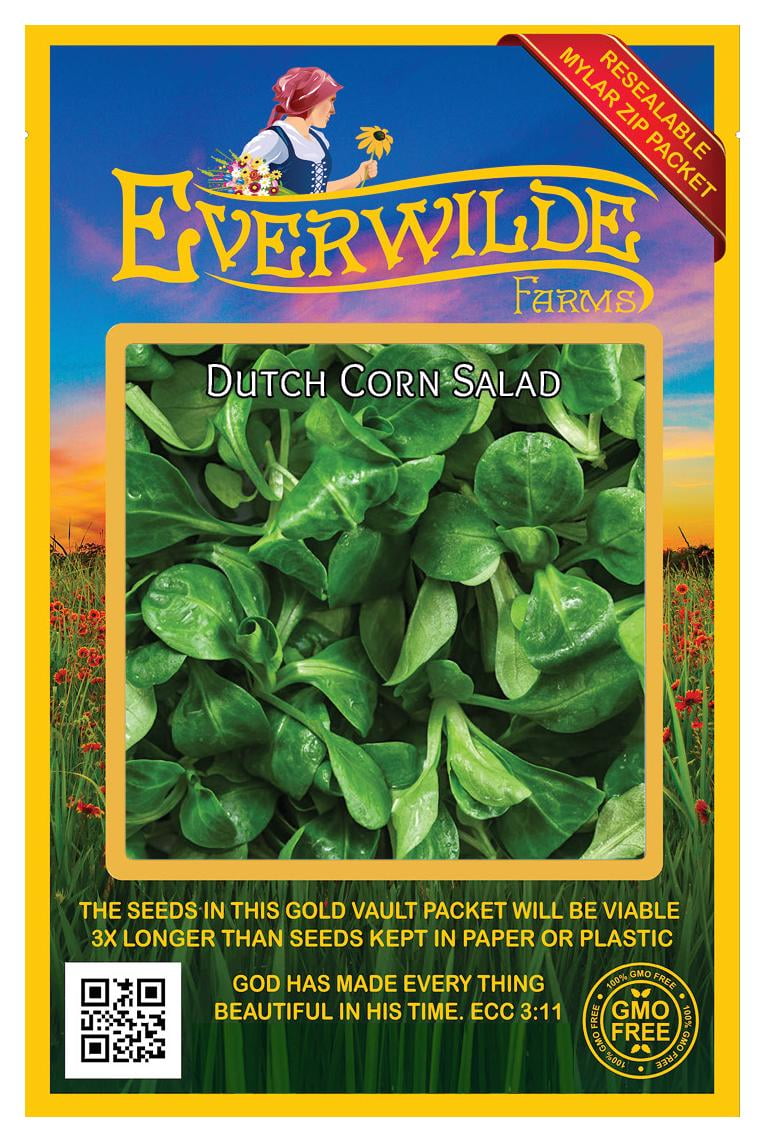 Everwilde Farms - 500 Dutch Corn Salad Herb Seeds - Gold Vault Jumbo ...