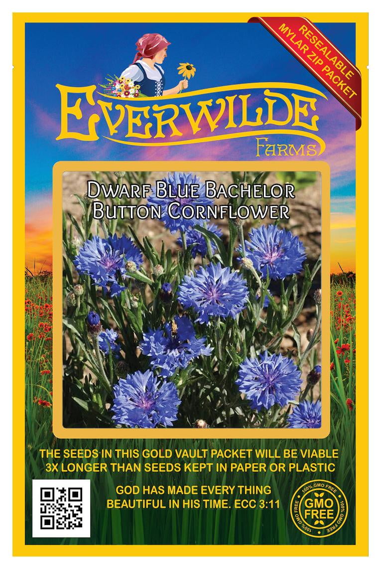 Everwilde Farms 500 Dwarf Blue Bachelor Button Cornflower Flower Seeds ...