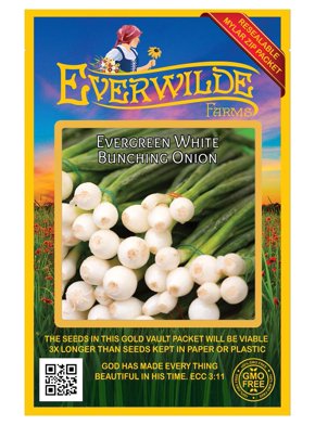 Onion Seeds in Seed Gardening - Walmart.com