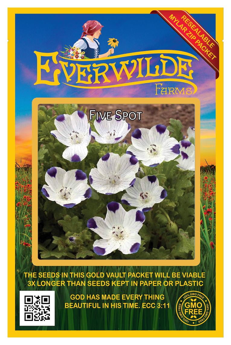 Everwilde Farms - 500 Five Spot Native Wildflower Seeds - Gold Vault ...