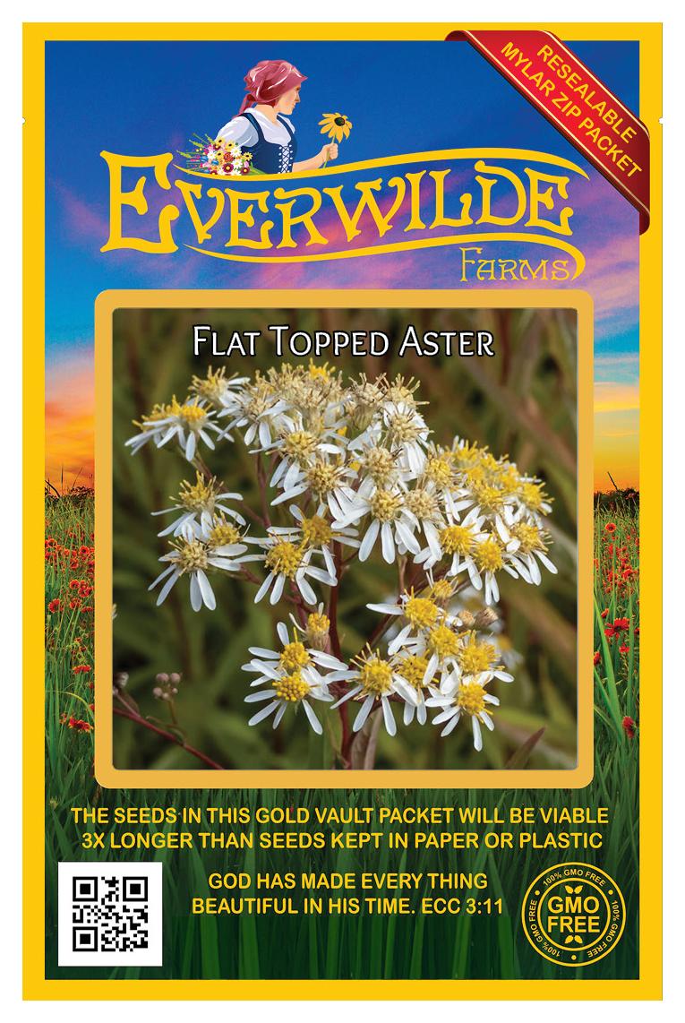 Everwilde Farms - 500 Flat-Topped Aster Native Wildflower Seeds - Gold ...