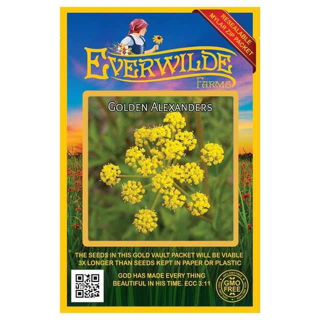 Everwilde Farms - 500 Golden Alexanders Native Wildflower Seeds - Gold ...