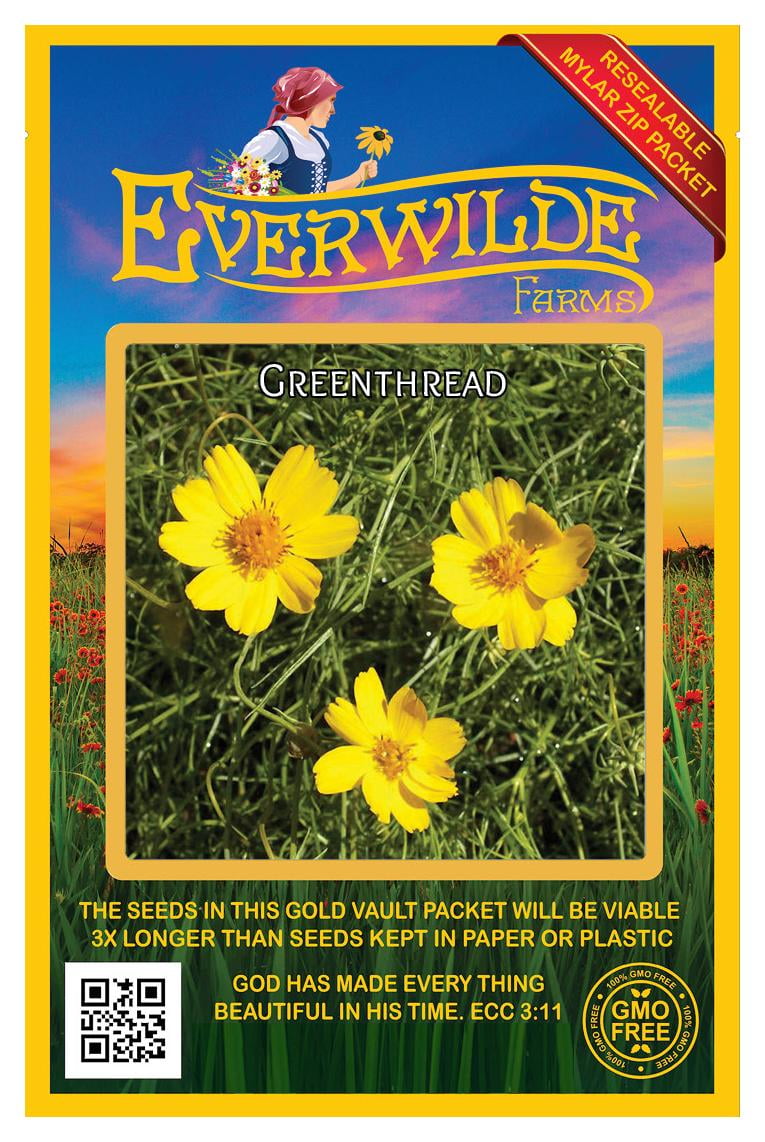 Everwilde Farms 500 Greenthread Wild Flower Seeds, Drought Hardy ...
