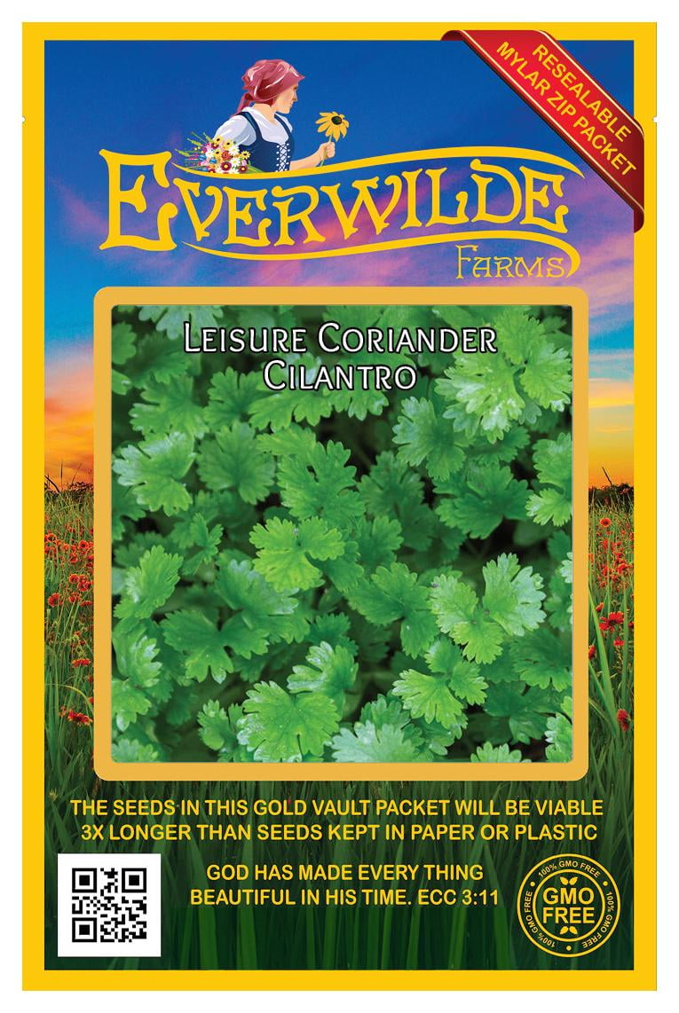 Everwilde Farms, Heirloom Cilantro Herb Seeds, High Yield, Bulk Gold ...
