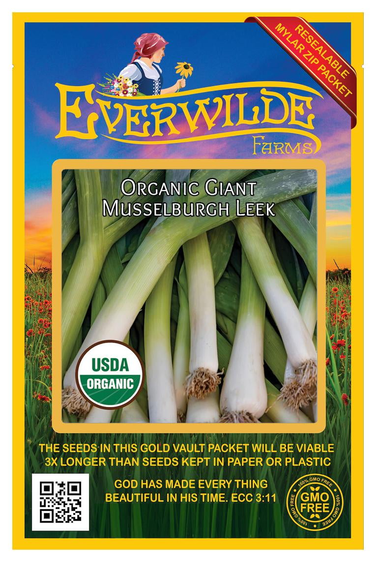 Everwilde Farms - 500 Organic Giant Musselburg Leek Seeds - Gold Vault ...