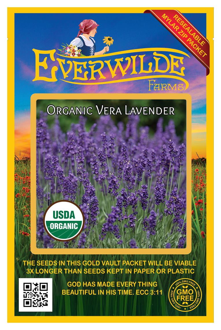 Everwilde Farms - 500 Organic Vera Lavender Herb Seeds - Gold Vault ...