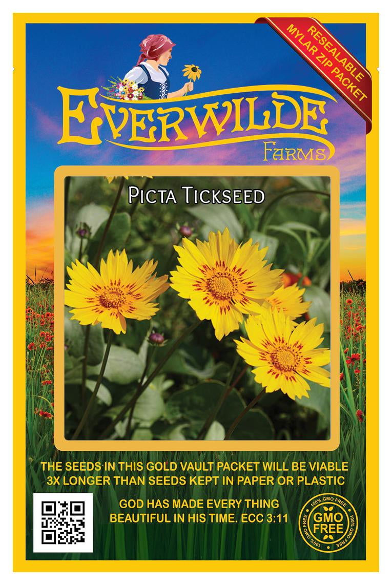 Everwilde Farms - 500 Picta Tickseed Native Wildflower Seeds - Gold ...