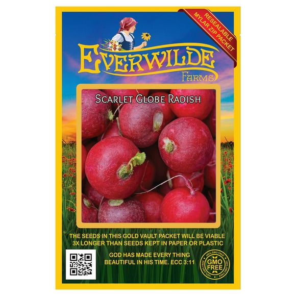 Early Scarlet Globe Radish