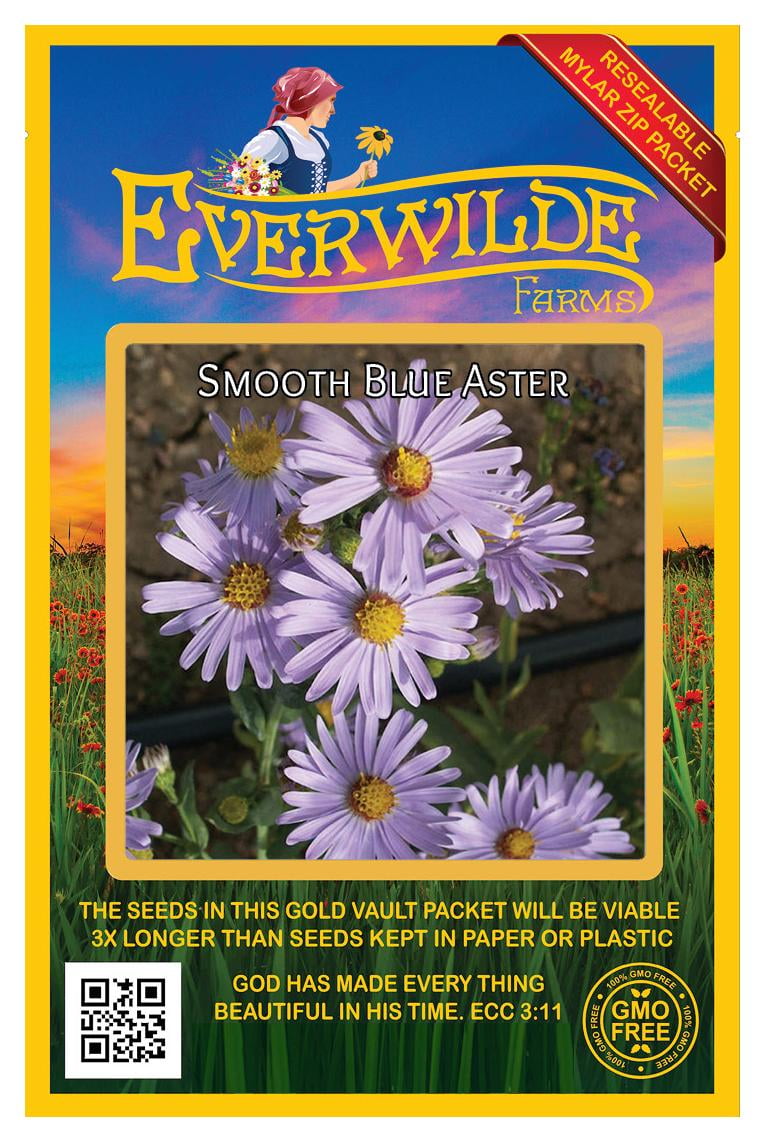 Everwilde Farms - 500 Smooth Blue Aster Native Wildflower Seeds - Gold ...