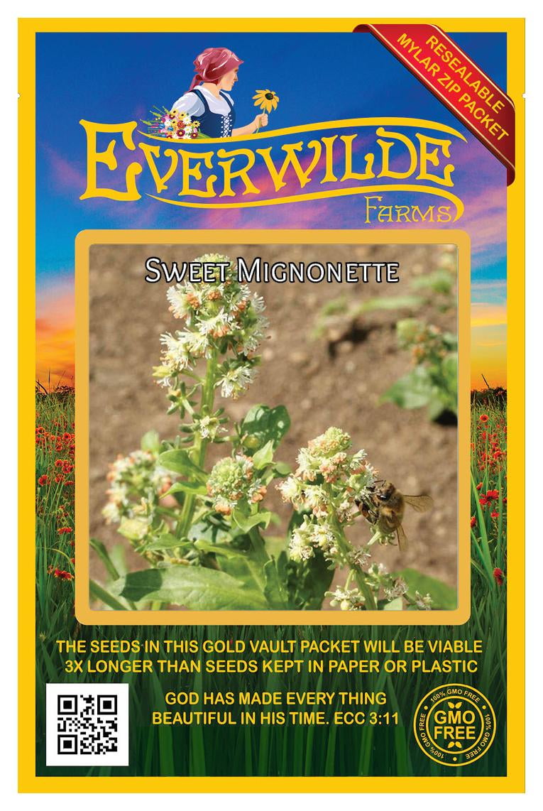 Everwilde Farms - 500 Sweet Mignonette Wildflower Seeds - Gold Vault ...